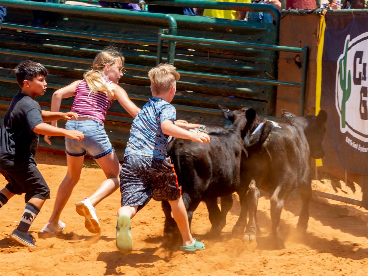 Kauai Rodeo | Rodeo in Koloa, Hawaii