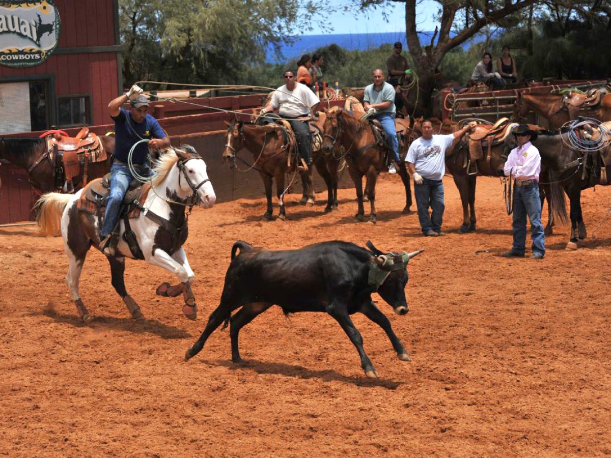 Kauai Rodeo | Rodeo in Koloa, Hawaii